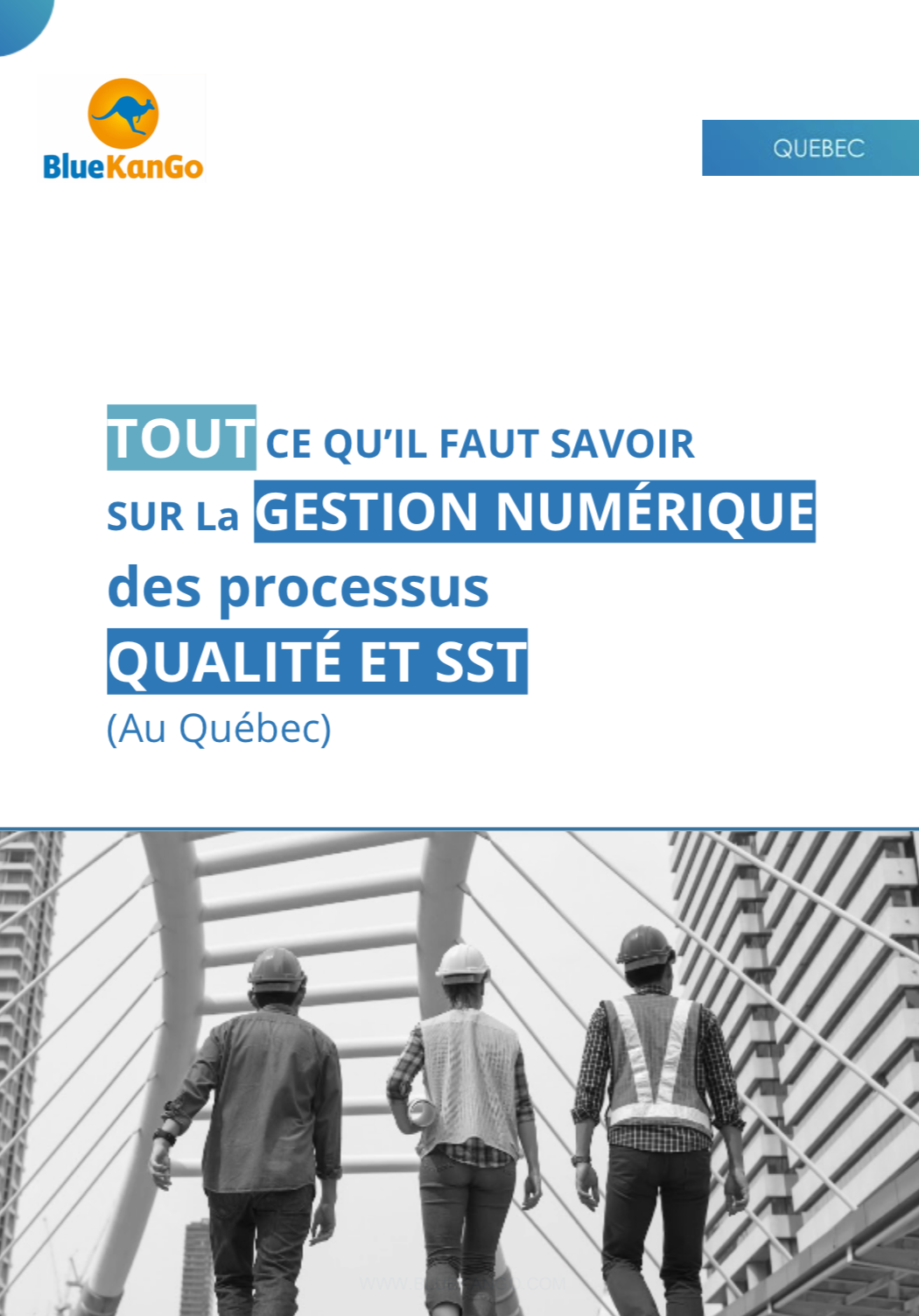 [E-book] Tout ce qu’il faut savoir sur la gestion numérique des ...